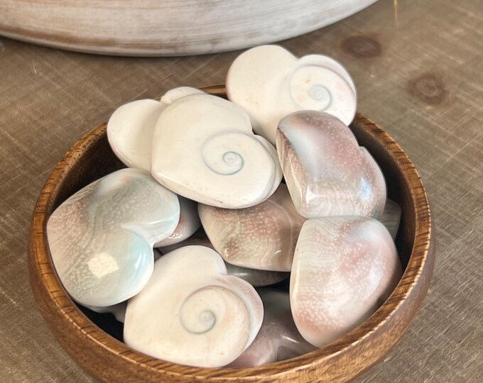 Eye of Shiva Shell Hearts | Shiva Shell | Shiva’s Eye | Operculum Snail ...