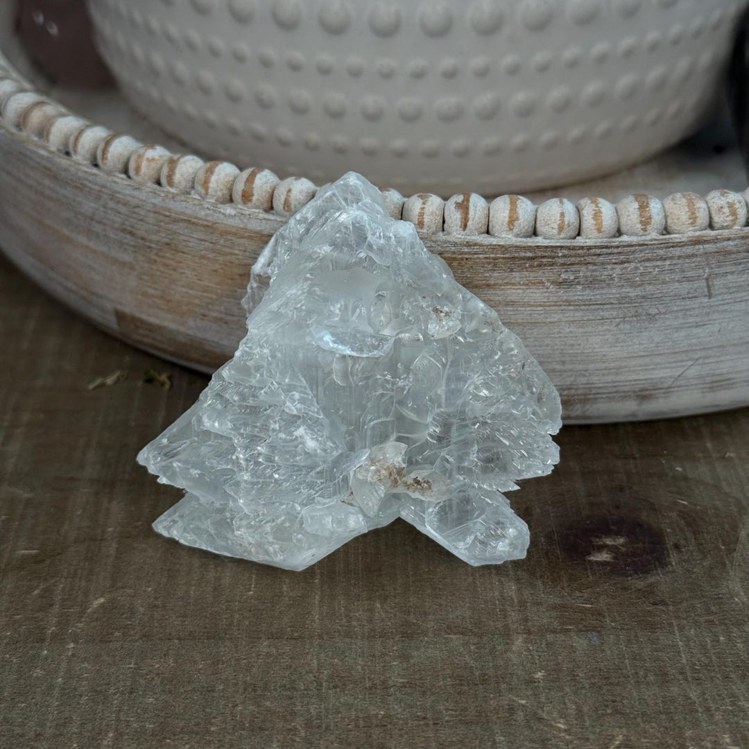 Fishtail Selenite | Gypsum | Angel Wing Selenite From Chihuahua, Mexico ...