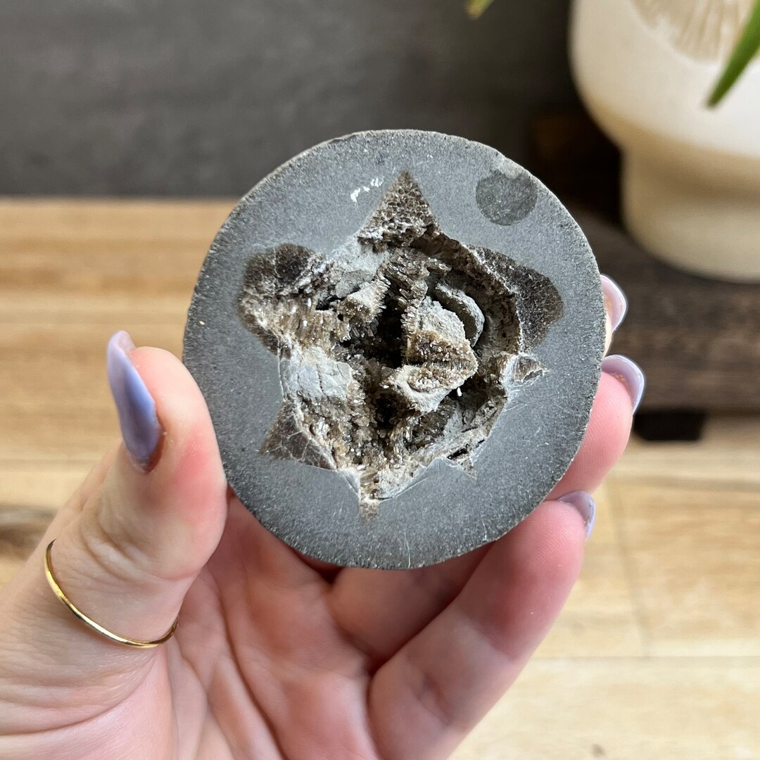 Barite Septarian Nodule Geode Half | French Crystal Mineral Specimen ...