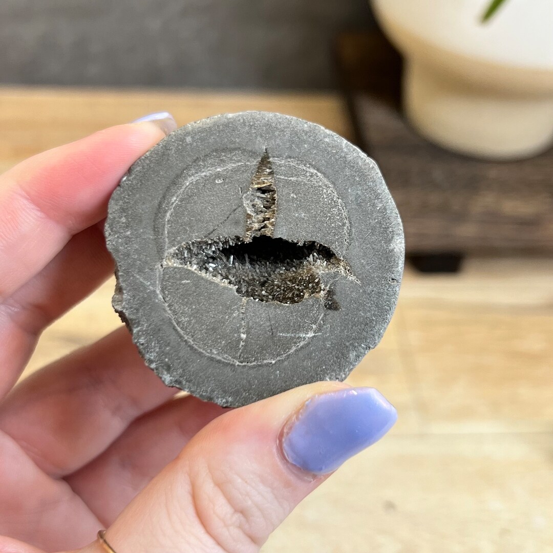 Barite Septarian Nodule Geode Half | French Crystal Mineral Specimen ...