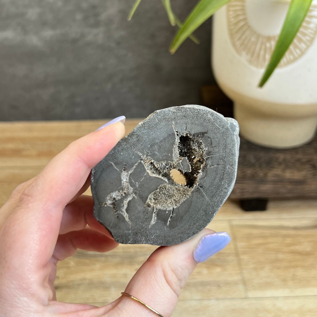 Barite Septarian Nodule Geode Half | French Crystal Mineral Specimen ...