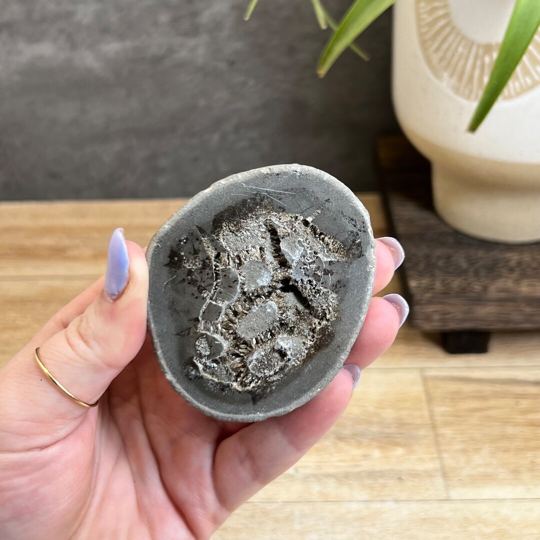 Barite Septarian Nodule Geode Half French Crystal Mineral Specimen ...