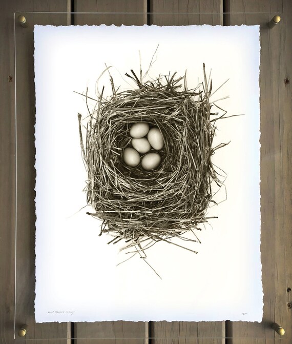 Quintet 17x22 Photograph Printed on Archival - Etsy