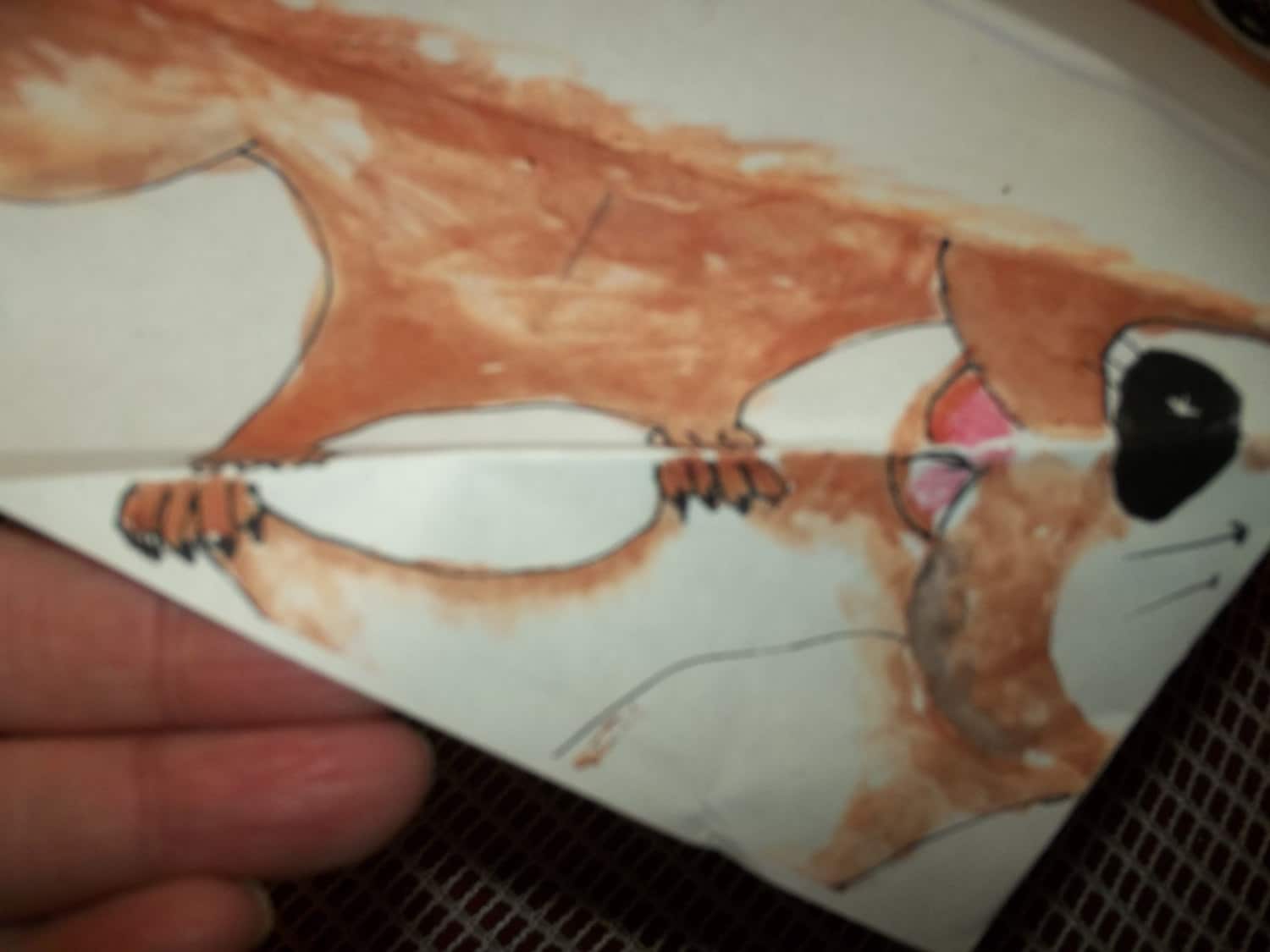 Flying Squirrel Paper Airplane - Etsy