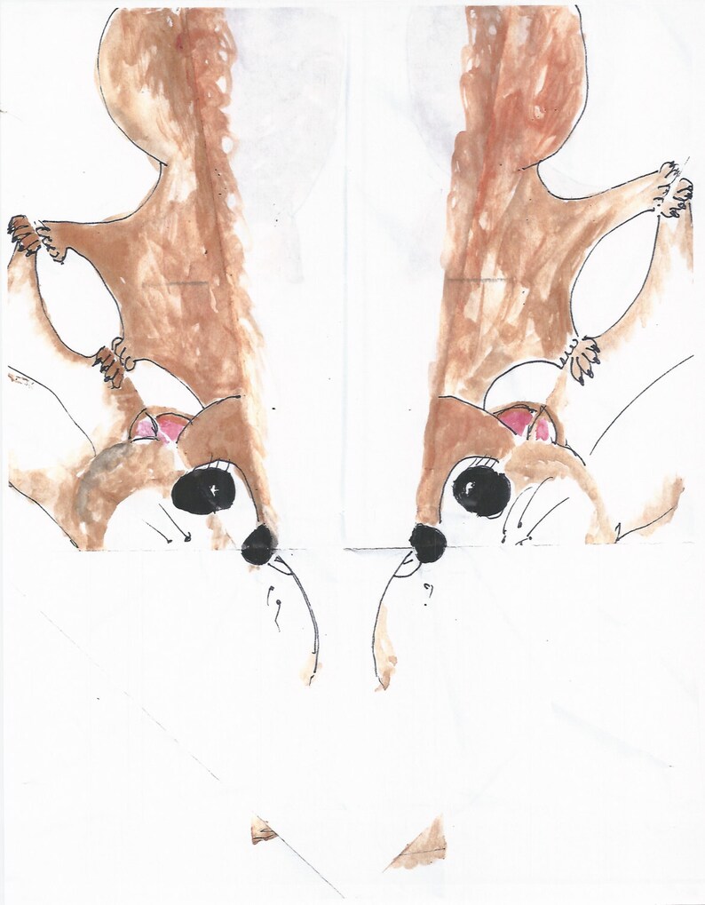 Flying Squirrel Paper Airplane - Etsy