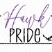 Hawks/hawk Pride Svg/png/sublimation Back to School Mascot | Etsy