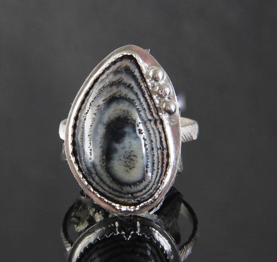 Fossilized Fish Skull Ring, Upper Palate, Sterling Silver Bezel Setting ...