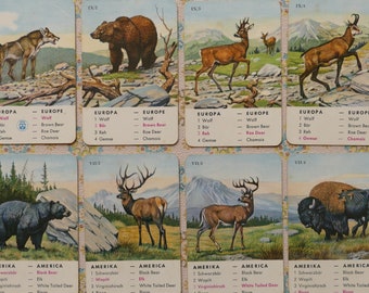 Quartet (with Photos) | Etsy