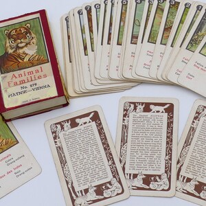 1950's Vintage Piatnik Animal Families Quartet Card Game Complete ...