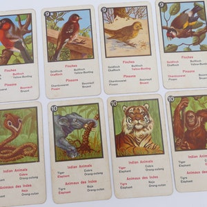 1950's Vintage Piatnik Animal Families Quartet Card Game Complete ...