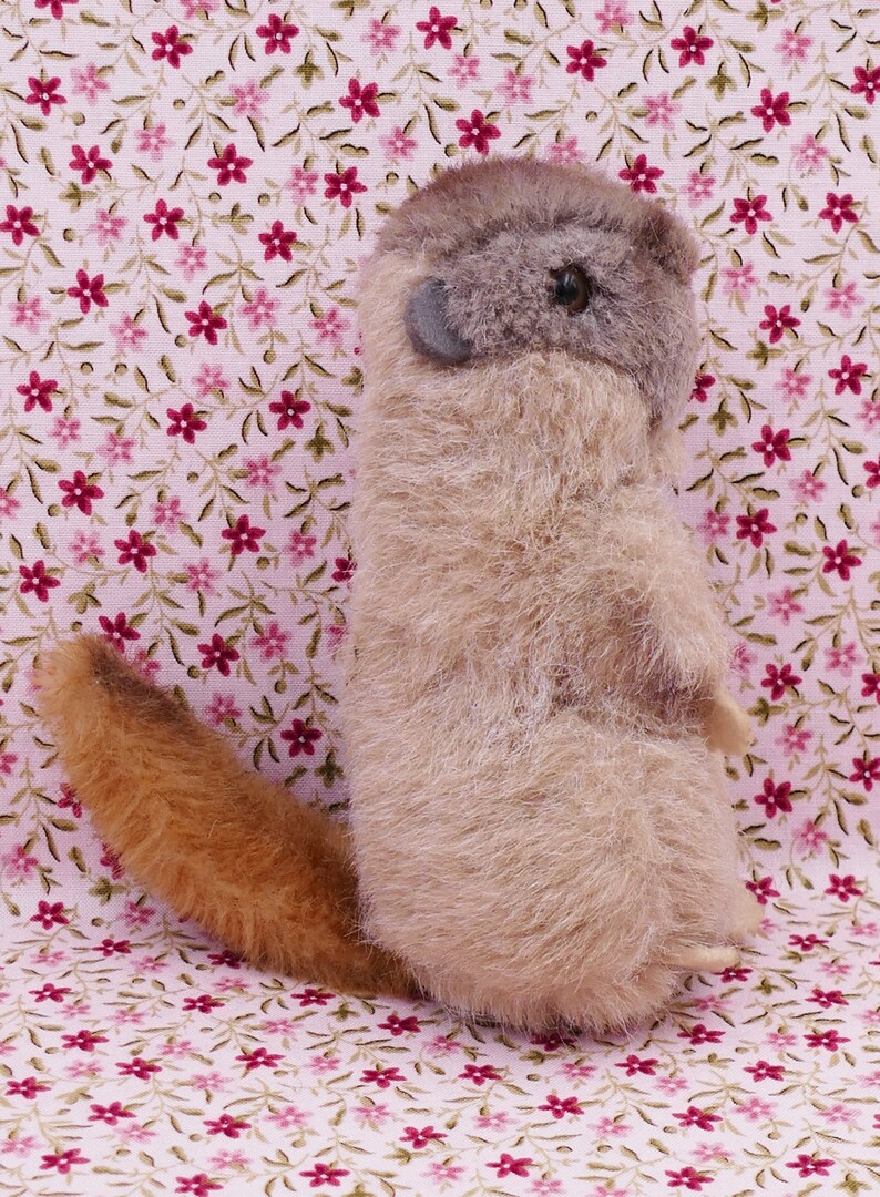 1970's Steiff 55 Piff Groundhog Squirrel Gopher - Etsy
