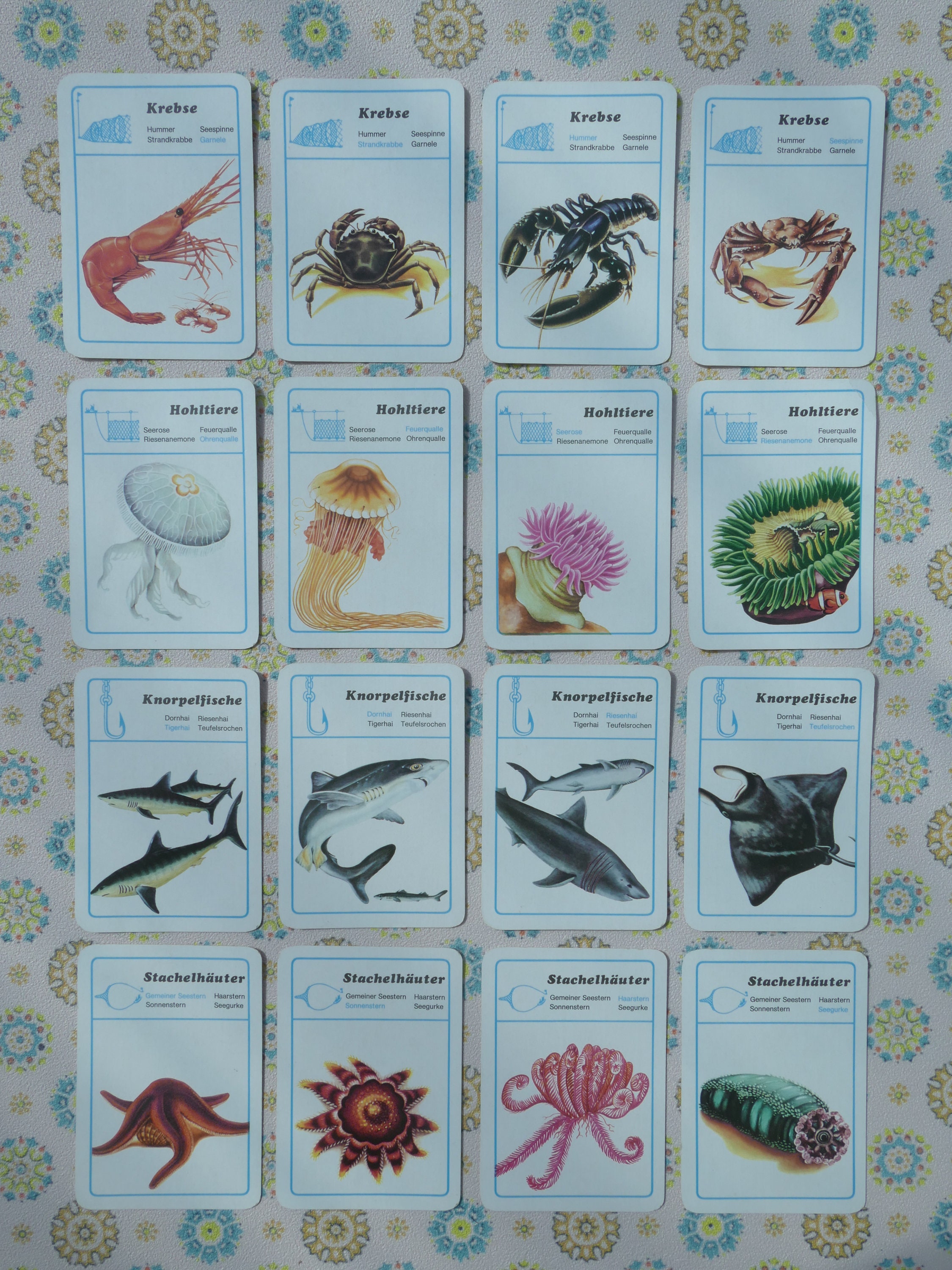 1970's Vintage German 'meerestiere' Marine Animals - Etsy