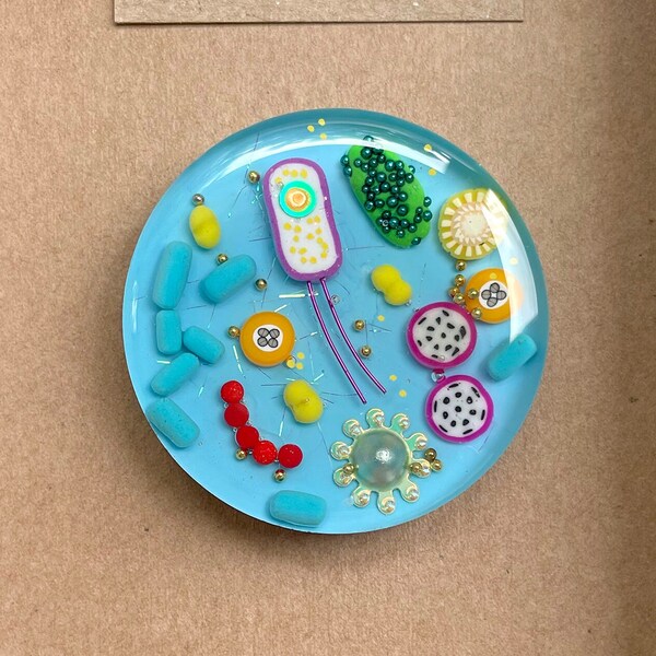 Science Jewelry - Etsy