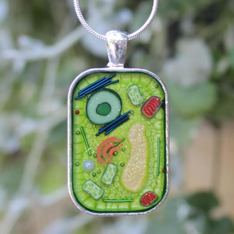 SheSellsCellsDesigns - Etsy
