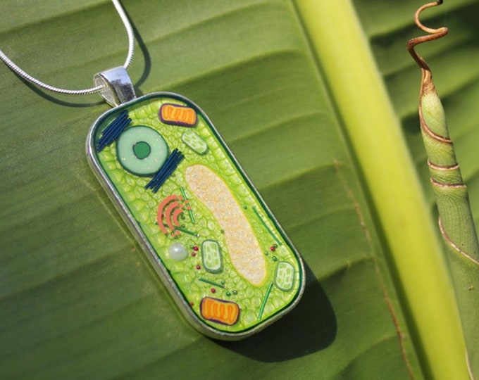 Plant Cell Pendant Necklace Silver Art Necklace, Biology Jewellery ...