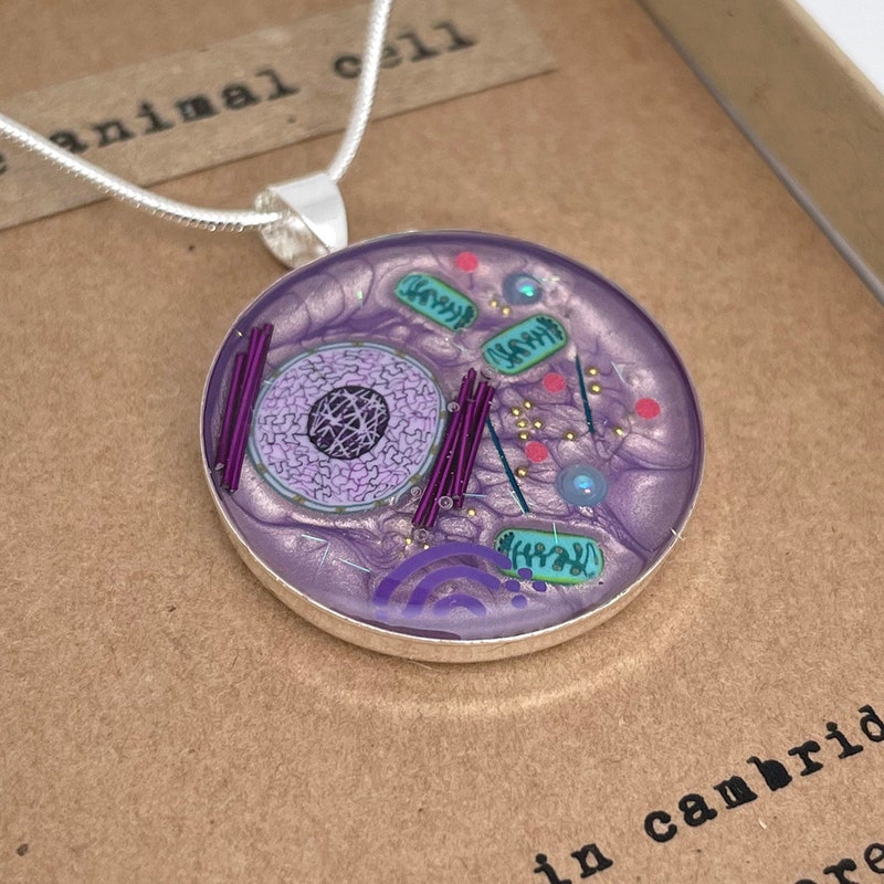 SheSellsCellsDesigns - Etsy