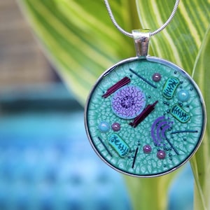 SheSellsCellsDesigns - Etsy