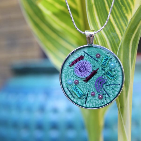Science Jewelry - Etsy
