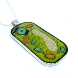 Plant Cell Pendant Necklace - Silver - Art Necklace, Biology Jewellery ...