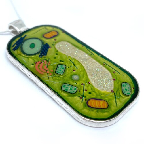 Animal Cell Pendant Necklace Silver Art Necklace Biology - Etsy