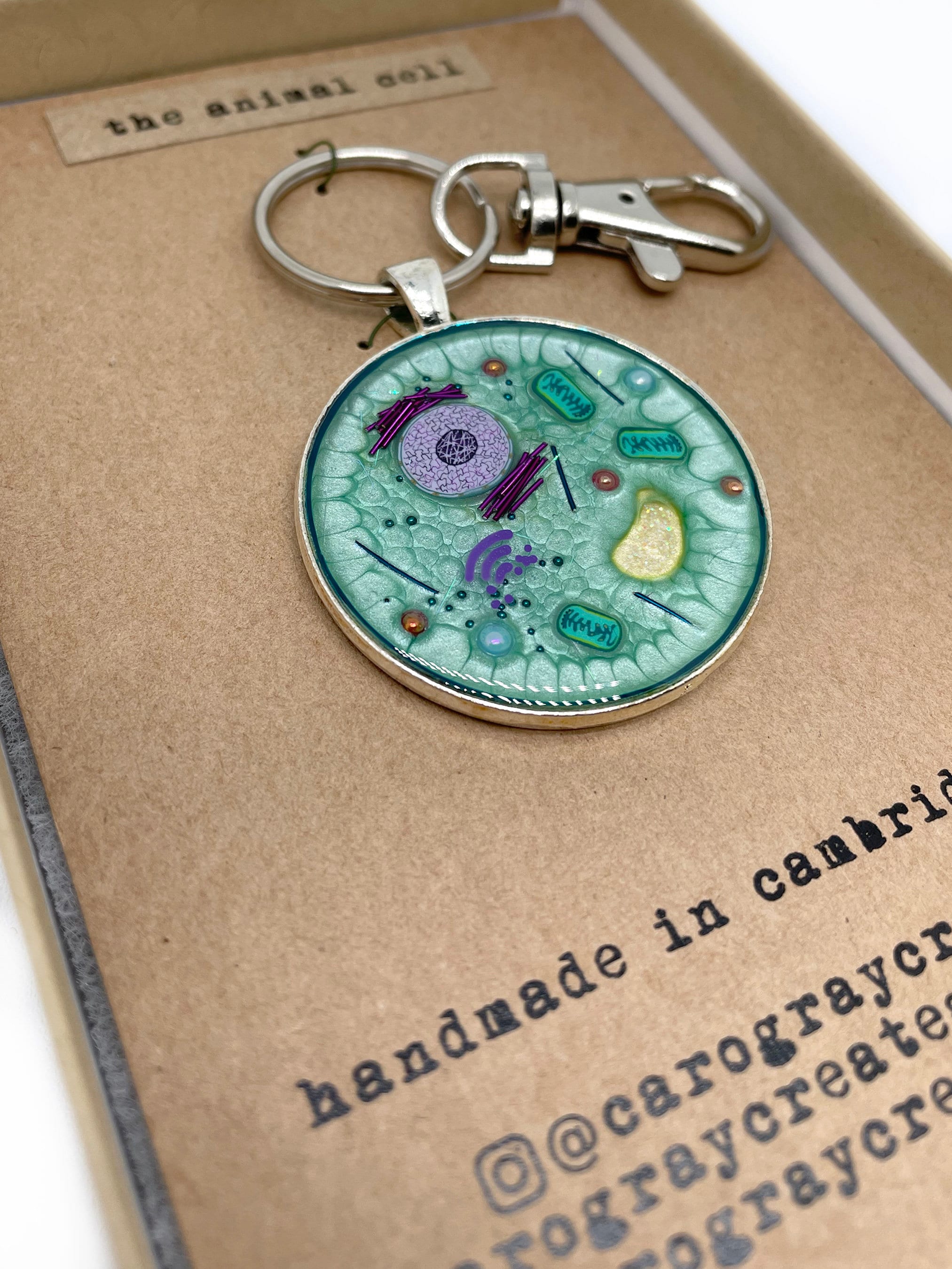 Animal Cell Keychain Key Ring Cell Biology Biology Gift - Etsy