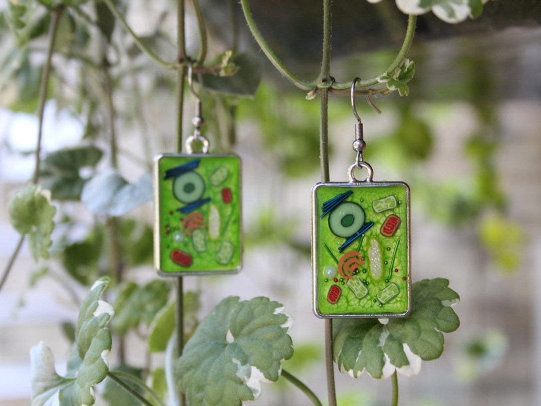 Plant Cell Earrings - Science Jewelry, Science Gift, STEM, Microbiology ...