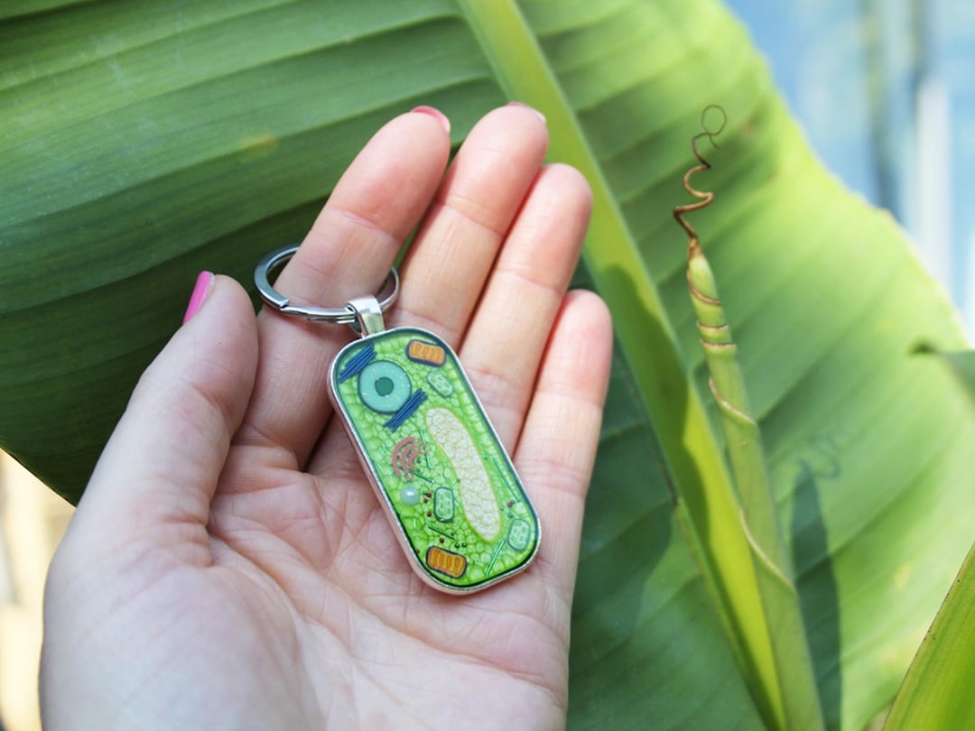 Plant Cell Key Chain - Key Ring - Cell Biology, Biology Gift, Key Chain ...