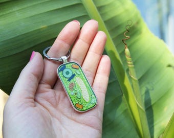 Animal Cell Keychain, Key Ring, Cell Biology, Biology Gift, Science Key ...