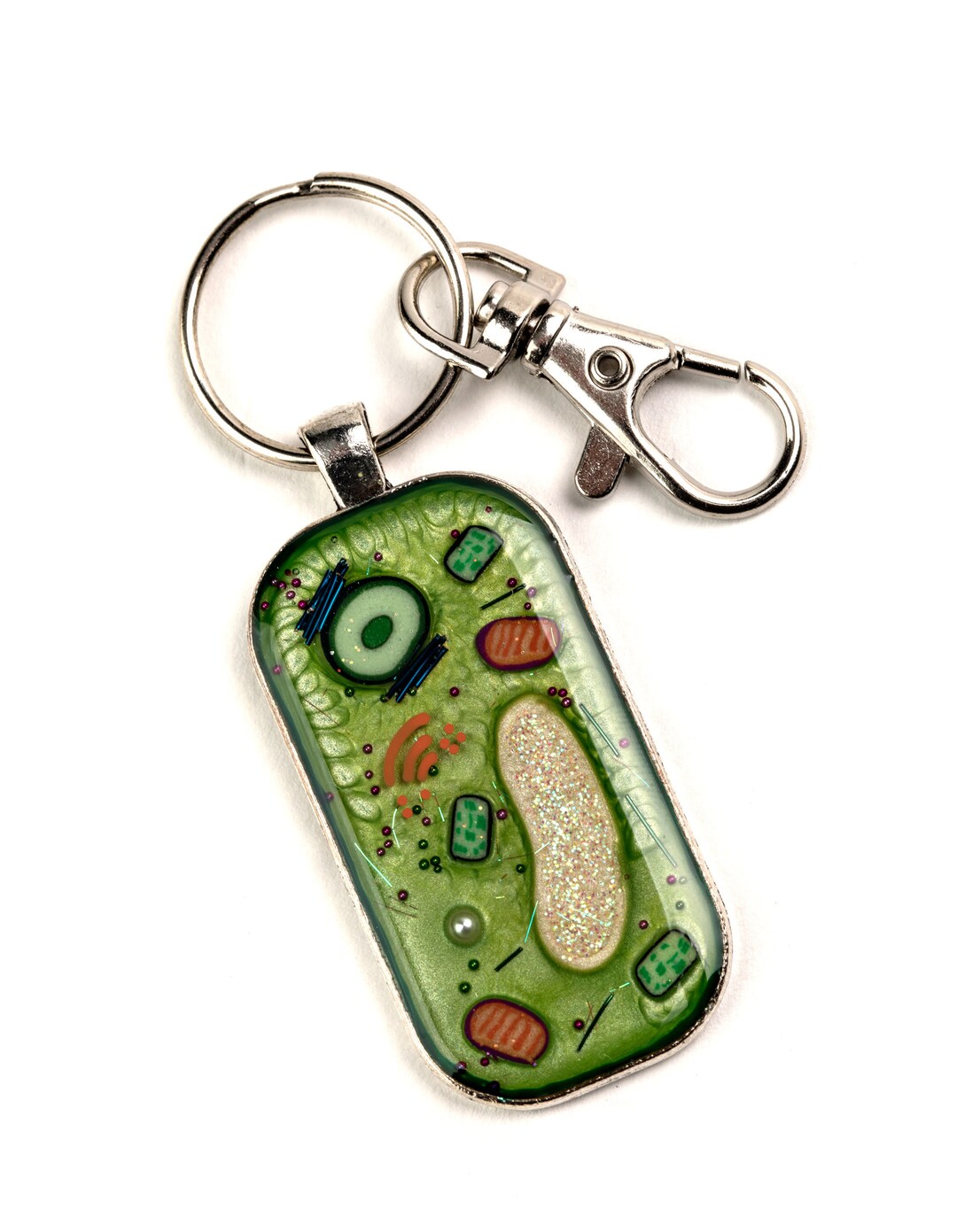 Plant Cell Key Chain Key Ring Cell Biology, Biology Gift, Key Chain ...