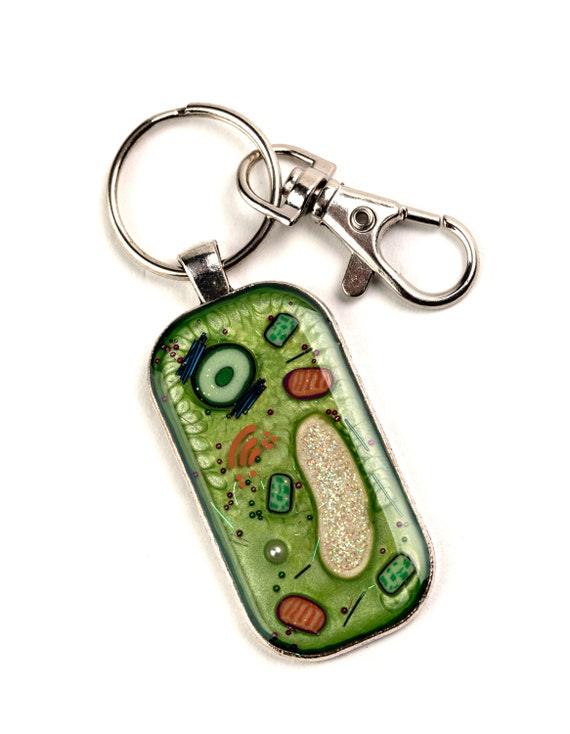 Plant Cell Key Chain Key Ring Cell Biology Biology Gift - Etsy Australia
