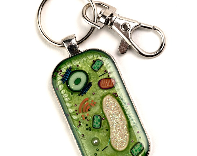 Plant Cell Key Chain Key Ring Cell Biology, Biology Gift, Key Chain ...