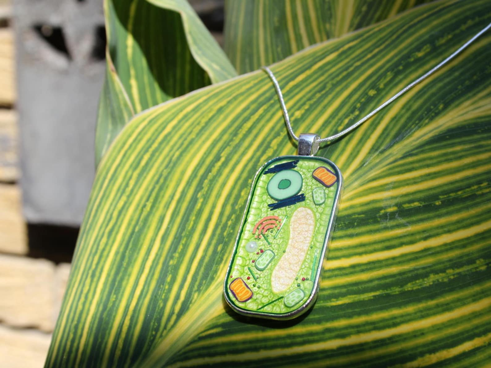 Plant Cell Pendant Necklace - Silver - Art Necklace, Biology Jewellery ...