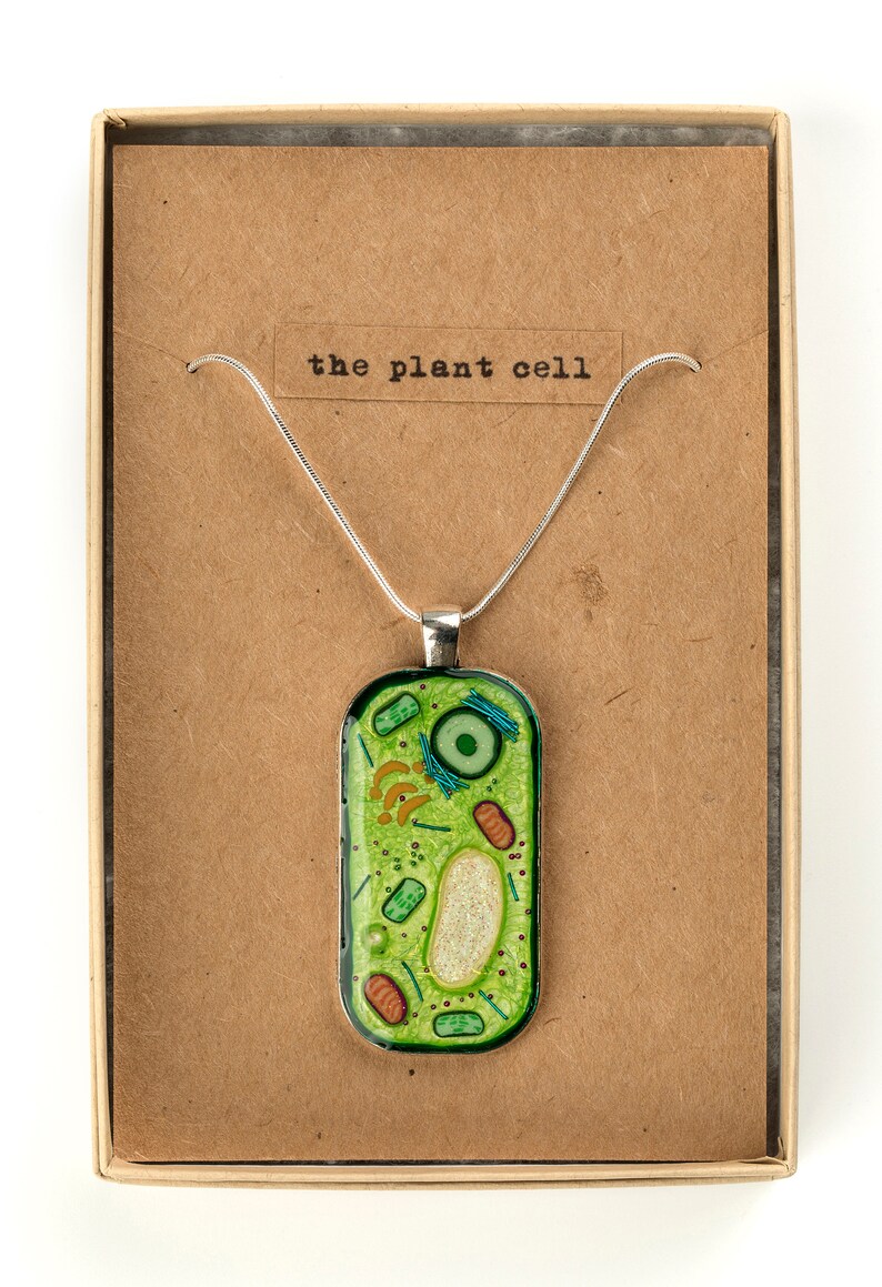 Plant Cell Pendant Necklace Silver Art Necklace Biology | Etsy
