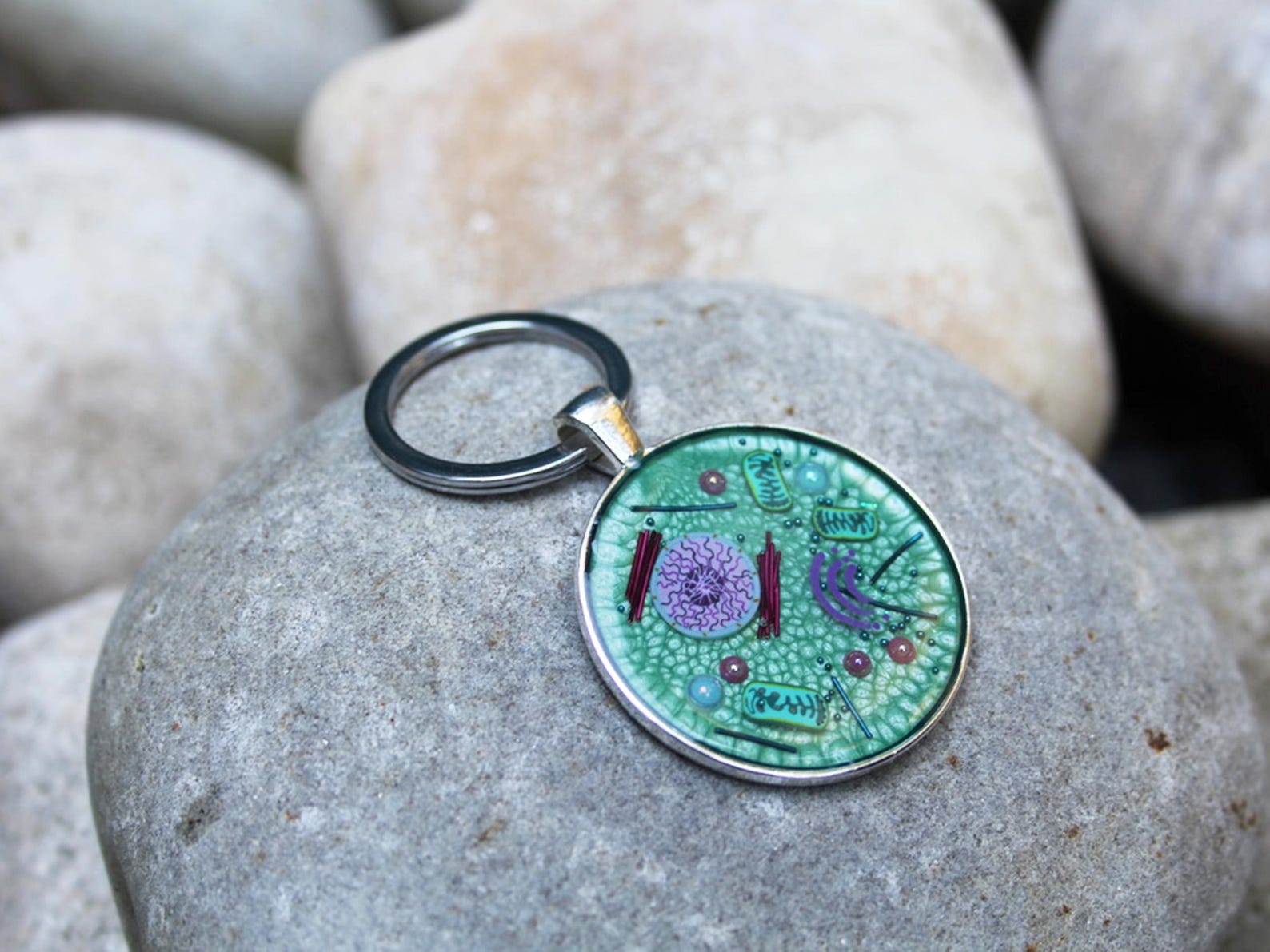 Animal Cell Keychain, Key Ring, Cell Biology, Biology Gift, Science Key ...