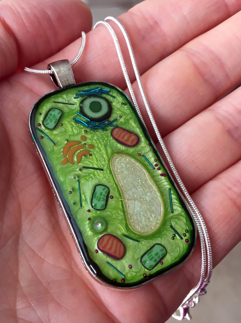 Plant Cell Pendant Necklace Silver Art Necklace Biology | Etsy