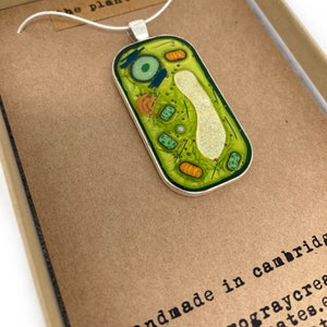 Plant Cell Pendant Necklace - Silver - Art Necklace, Biology Jewellery ...