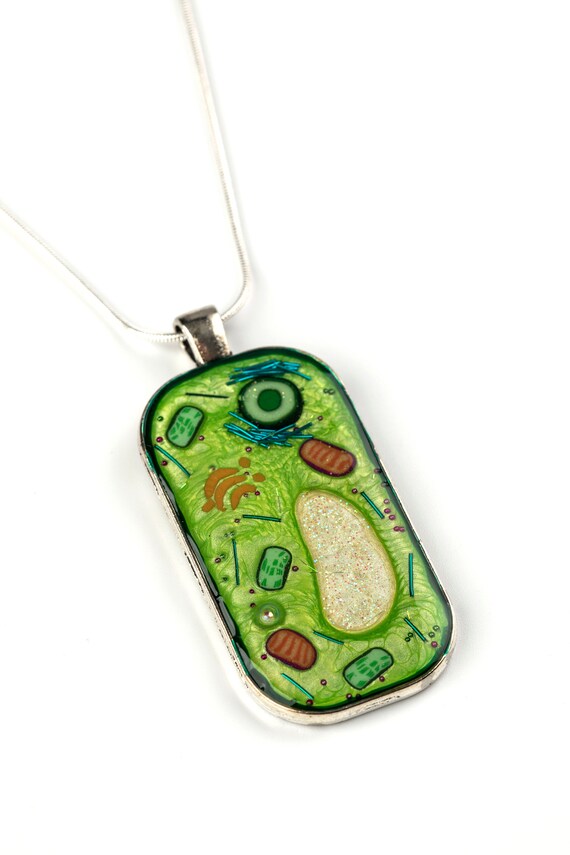 Plant Cell Pendant Necklace Silver Art Necklace Biology | Etsy