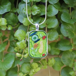 MINI Plant Cell Pendant Necklace - Art Necklace, Biology Jewellery ...
