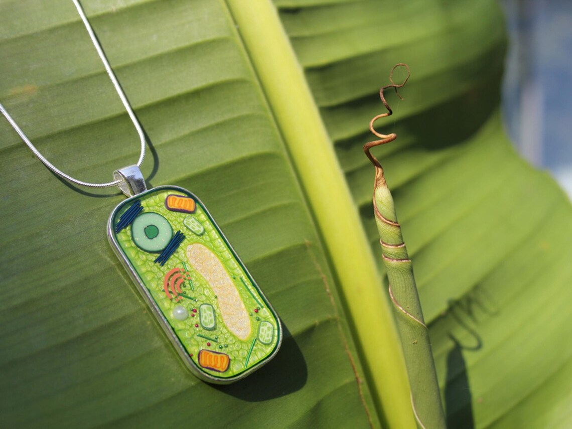 Plant Cell Pendant Necklace - Silver - Art Necklace, Biology Jewellery ...