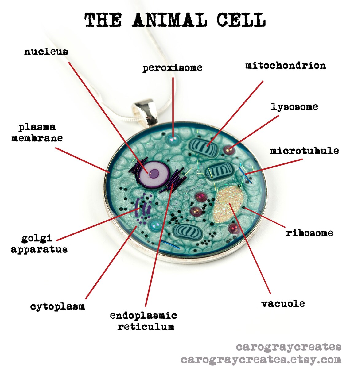 Animal Cell Pendant Necklace Silver Art Necklace Biology - Etsy