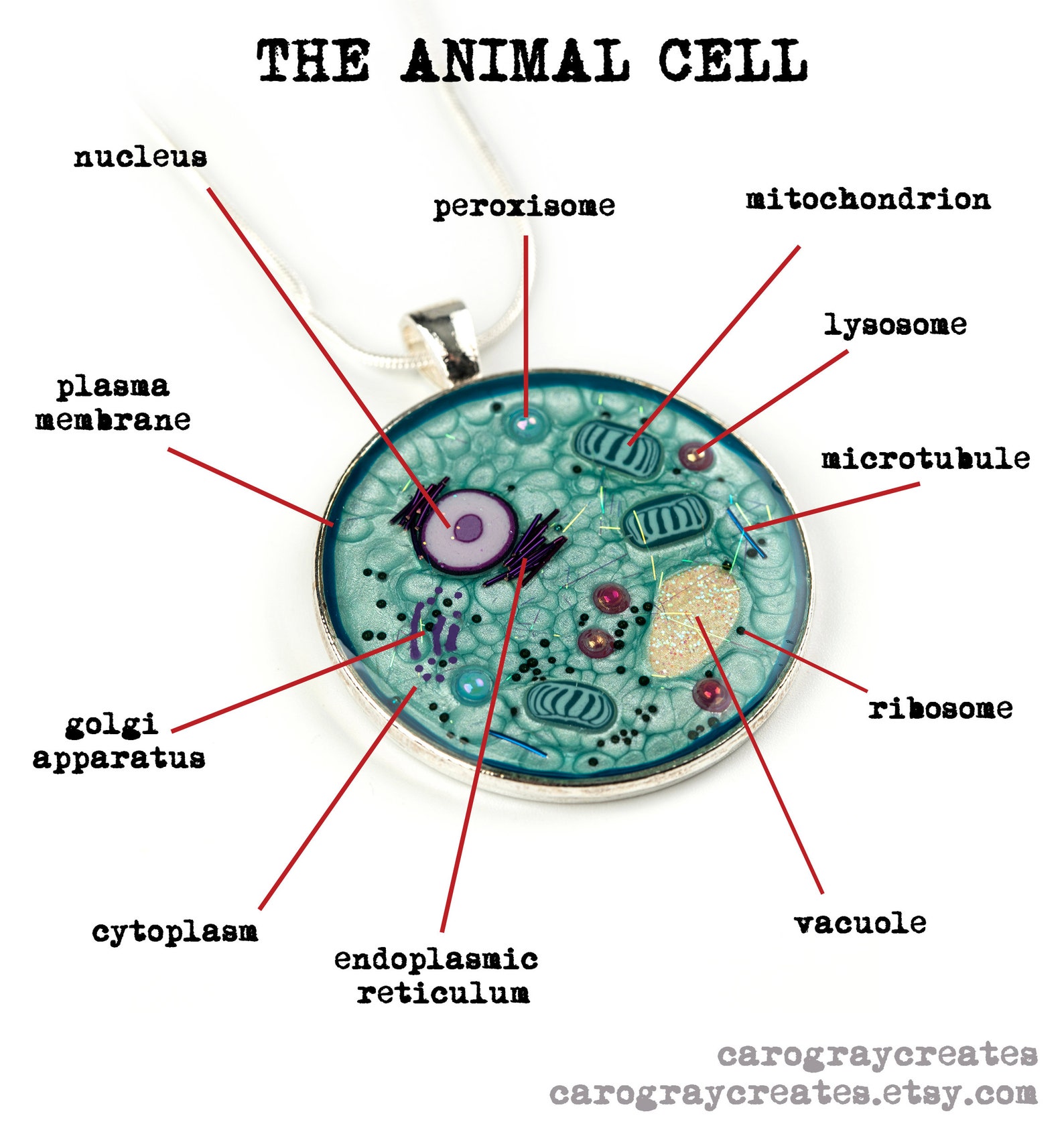 Animal Cell Pendant Necklace Silver Art Necklace Biology - Etsy