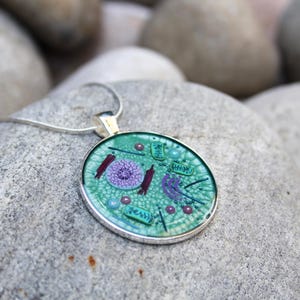 Animal Cell Pendant Necklace - Silver - Art Necklace, Biology Jewellery ...