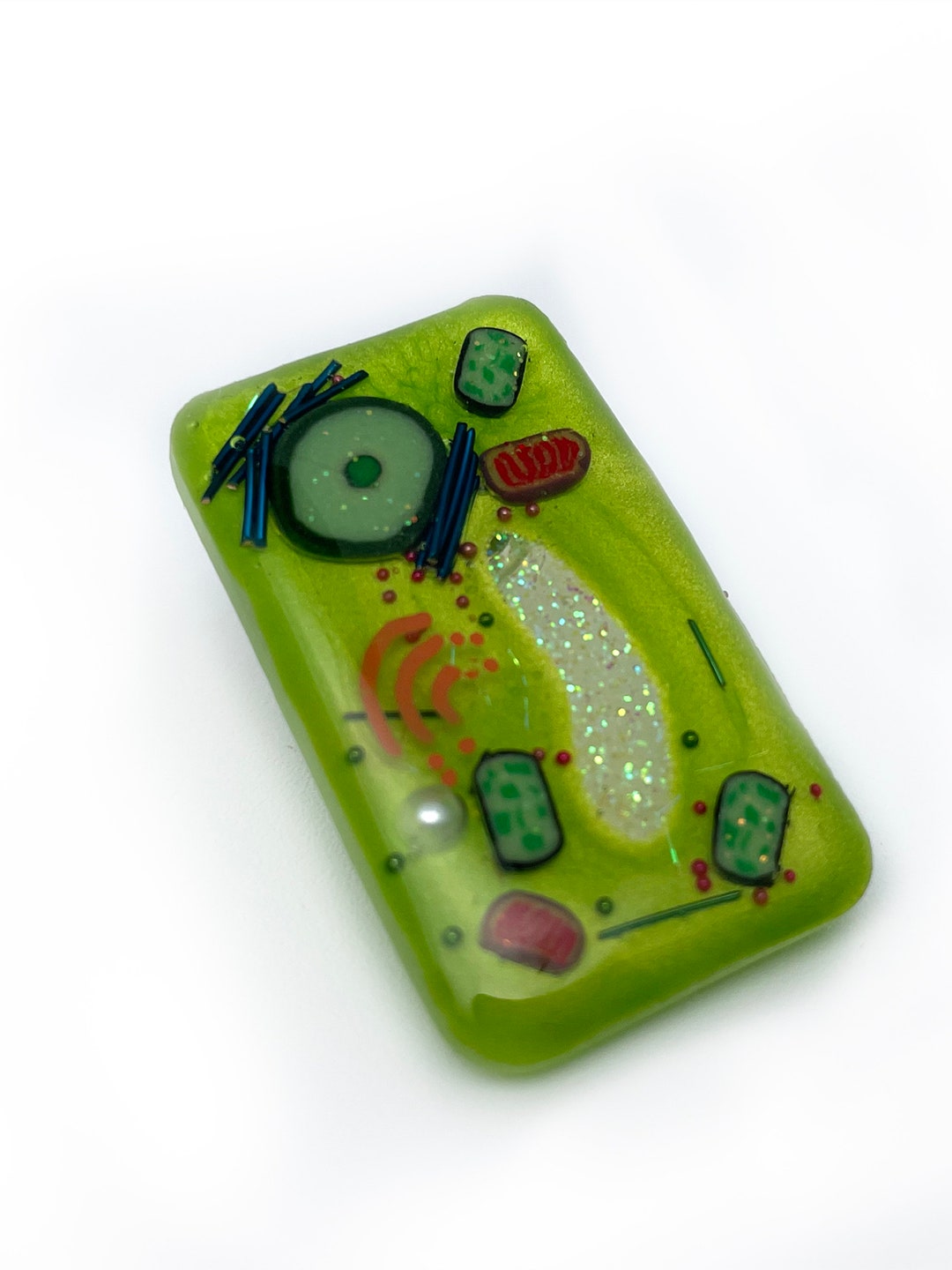 Plant Cell Brooch / Pin Cell Biology, Biology Gift, Key Chain, Science ...