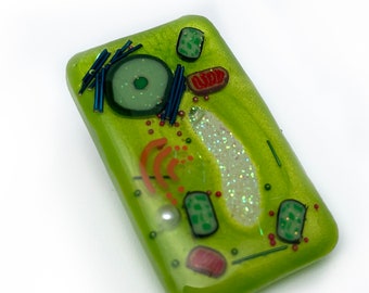 Plant Cell Key Chain Key Ring Cell Biology, Biology Gift, Key Chain ...