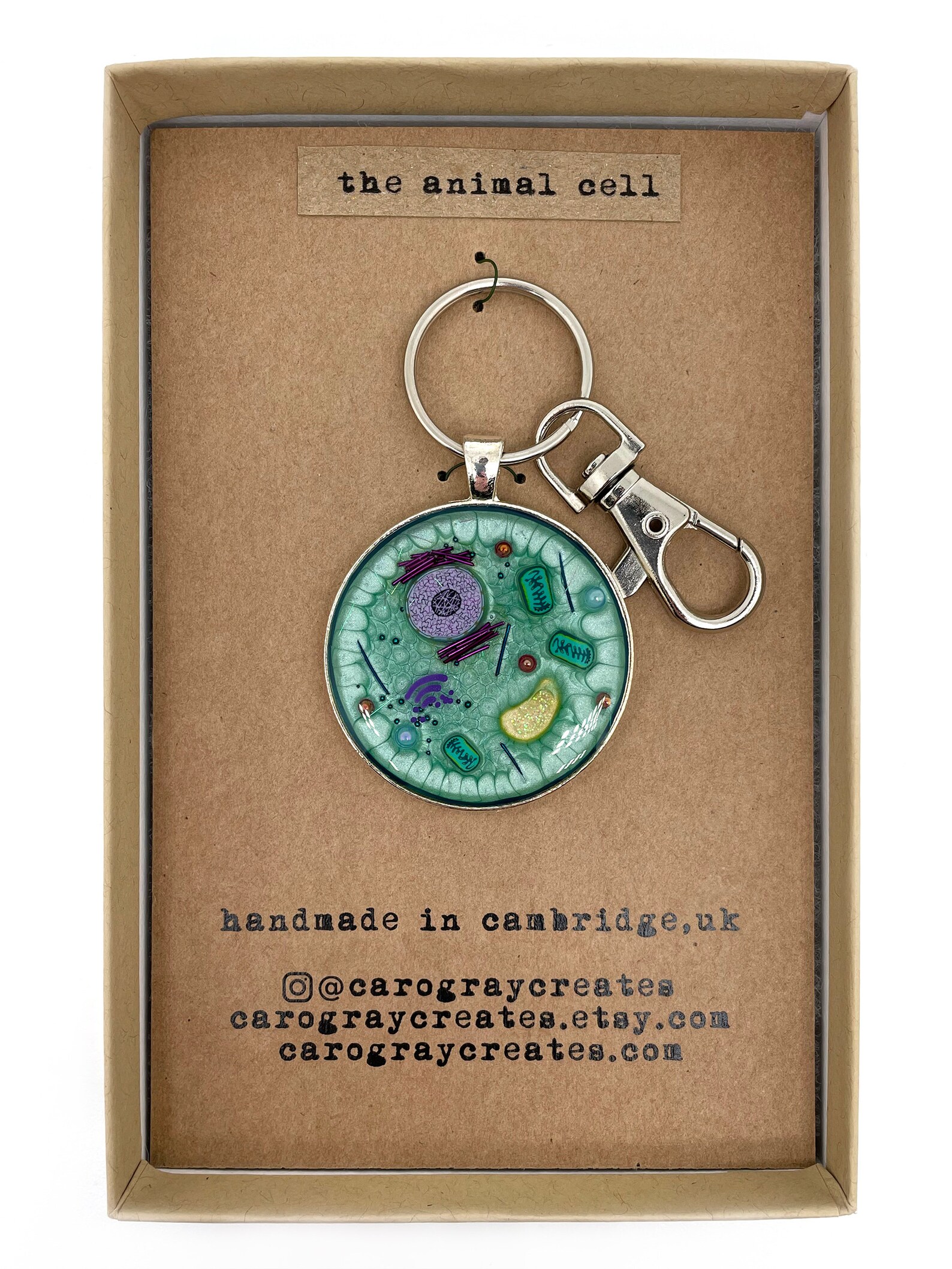 Animal Cell Keychain, Key Ring, Cell Biology, Biology Gift, Science Key ...