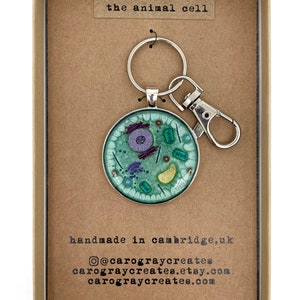 Animal Cell Keychain, Key Ring, Cell Biology, Biology Gift, Science Key ...