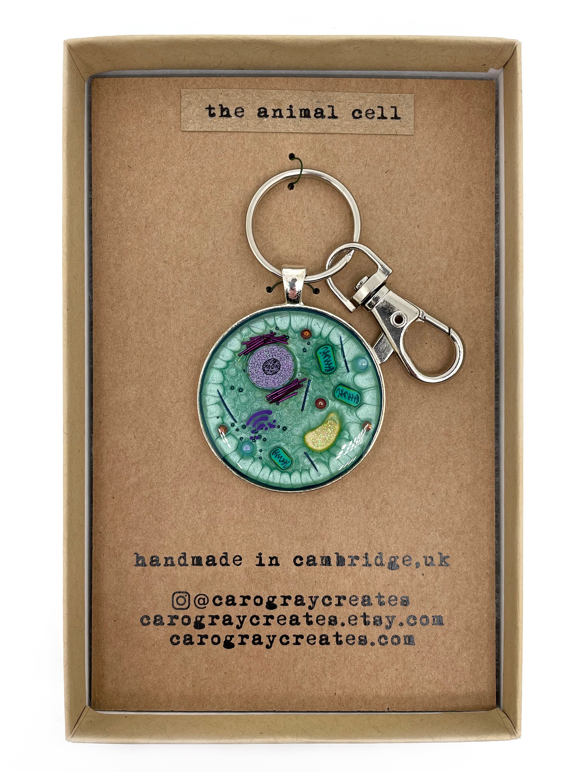 Animal Cell Keychain Key Ring Cell Biology Biology Gift - Etsy UK