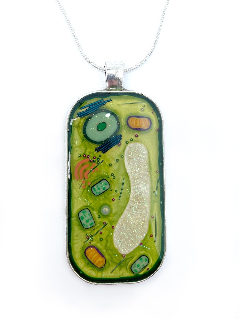 Plant Cell Pendant Necklace Silver Art Necklace Biology - Etsy