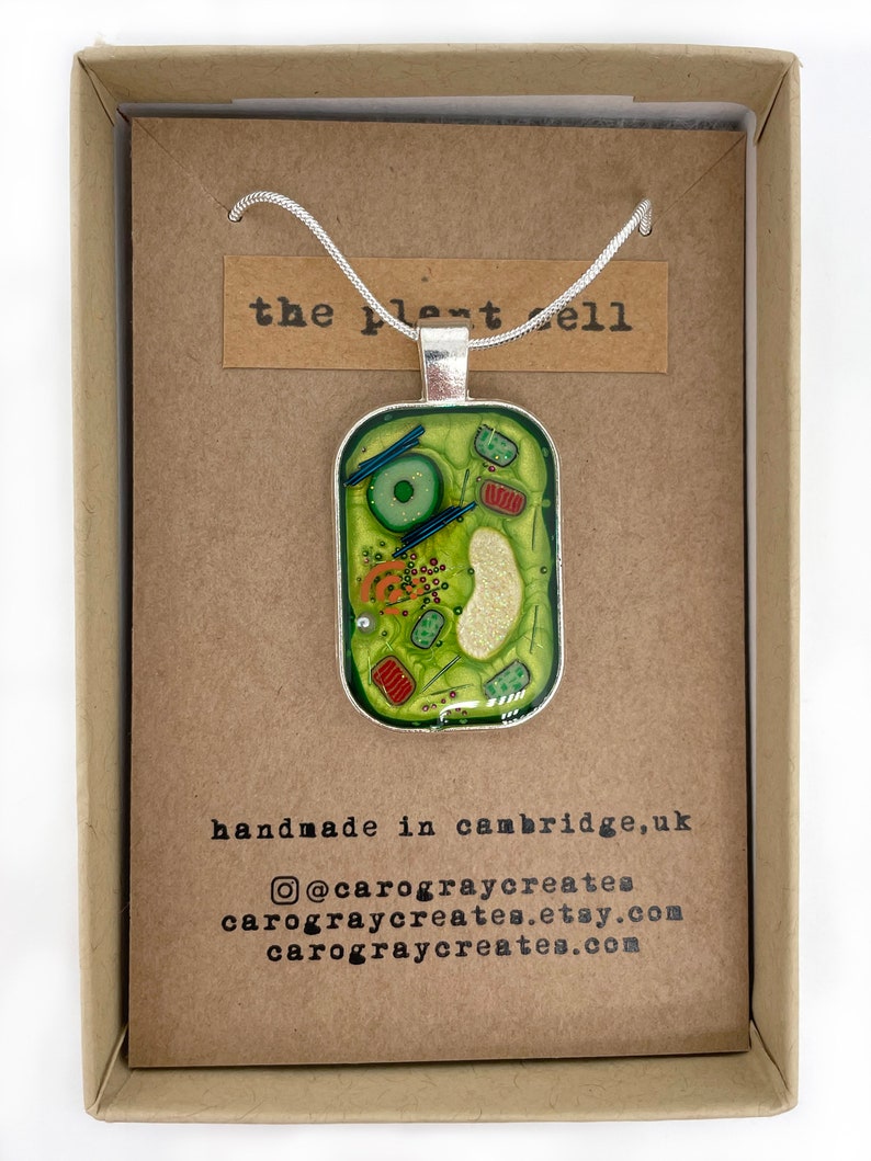 MINI Plant Cell Pendant Necklace - Art Necklace, Biology Jewellery ...