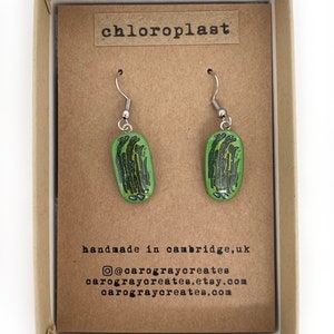 Chloroplast Earrings Plant Scientist Science Jewelry - Etsy